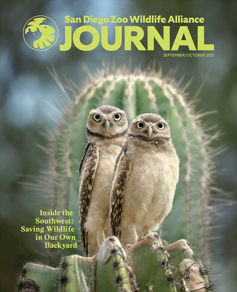 September 2021 | San Diego Zoo Wildlife Alliance